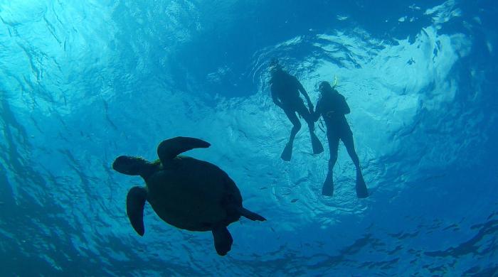 Fish Eye Tours Guam –Activities, Entertainment, Lunch, Dinner, Beach ...